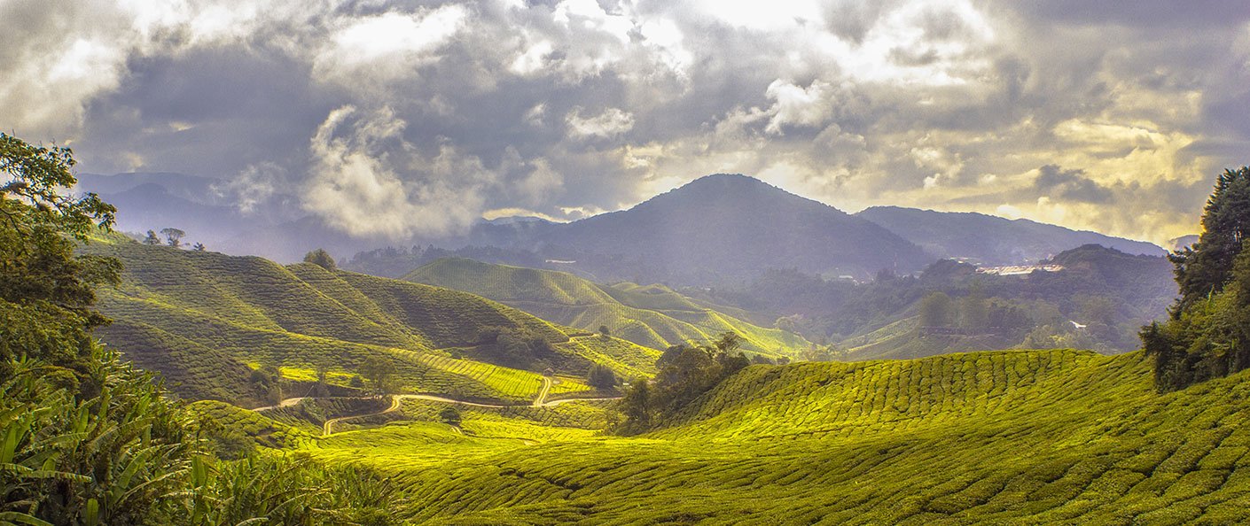 Home Classic - Lala Wine